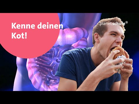 Verdauung: 100 Stunden von oben bis unten! - Frage trifft Antwort | planet schule