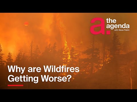 Why are Wildfires Getting Worse? | The Agenda