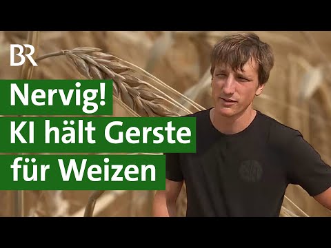 Kritik an FAL-BY App: Hilfe oder zusätzlicher Aufwand für bayerische Landwirte? | Unser Land | BR