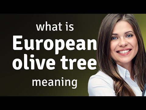 European olive tree | meaning of EUROPEAN OLIVE TREE