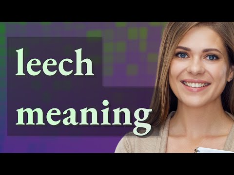 Leech | meaning of Leech