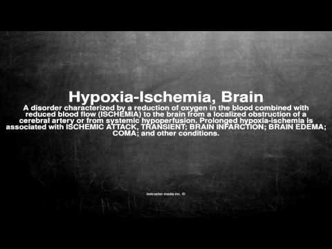 Medical vocabulary: What does Hypoxia-Ischemia, Brain mean