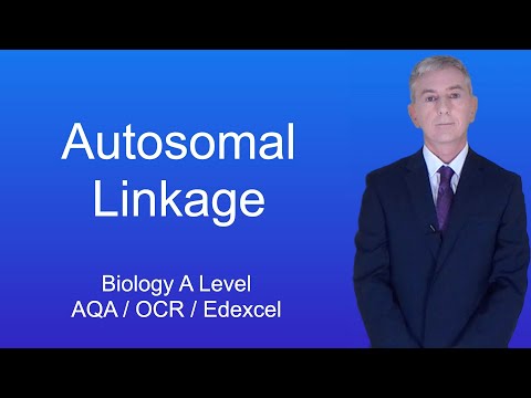 A Level Biology (Year 13) "Autosomal Linkage"