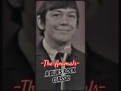 Don't Let Me Be Misunderstood - A Blues Rock Classic The Animals #theanimals #ericburdon