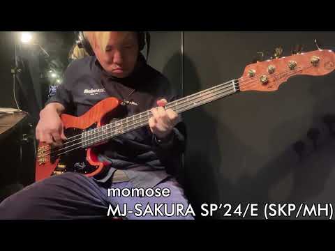 momose MJ-SAKURA SP'24/E (SKP/MH) [Selected product for | Reverb