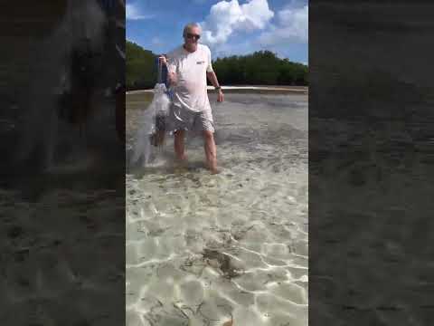 Catching Mojarra With a Cast Net