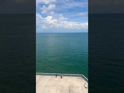 Amazing View Saint Petersburg Pier Florida