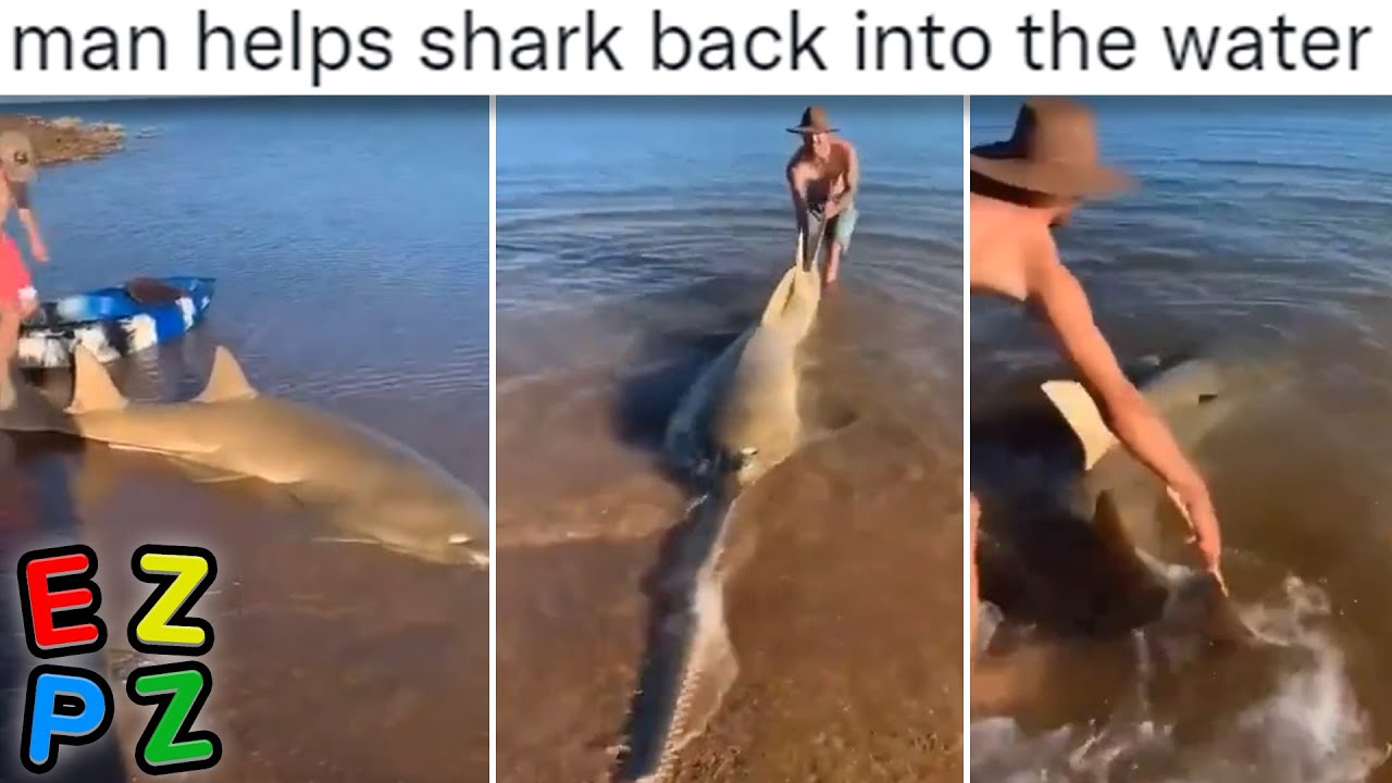 r/Humansbeingbros · *happy steve irwin noises*