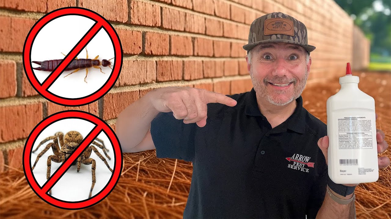 Most Effective Pest Control Treatment Nobody Talks About!