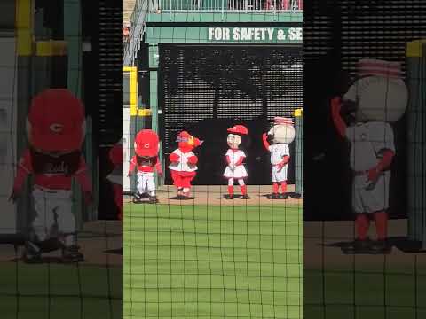 Reds Mascots #reds #gapper #Rosie #mrredlegs #cincinnati #513 #mlb #baseball #mascot #love #fallout