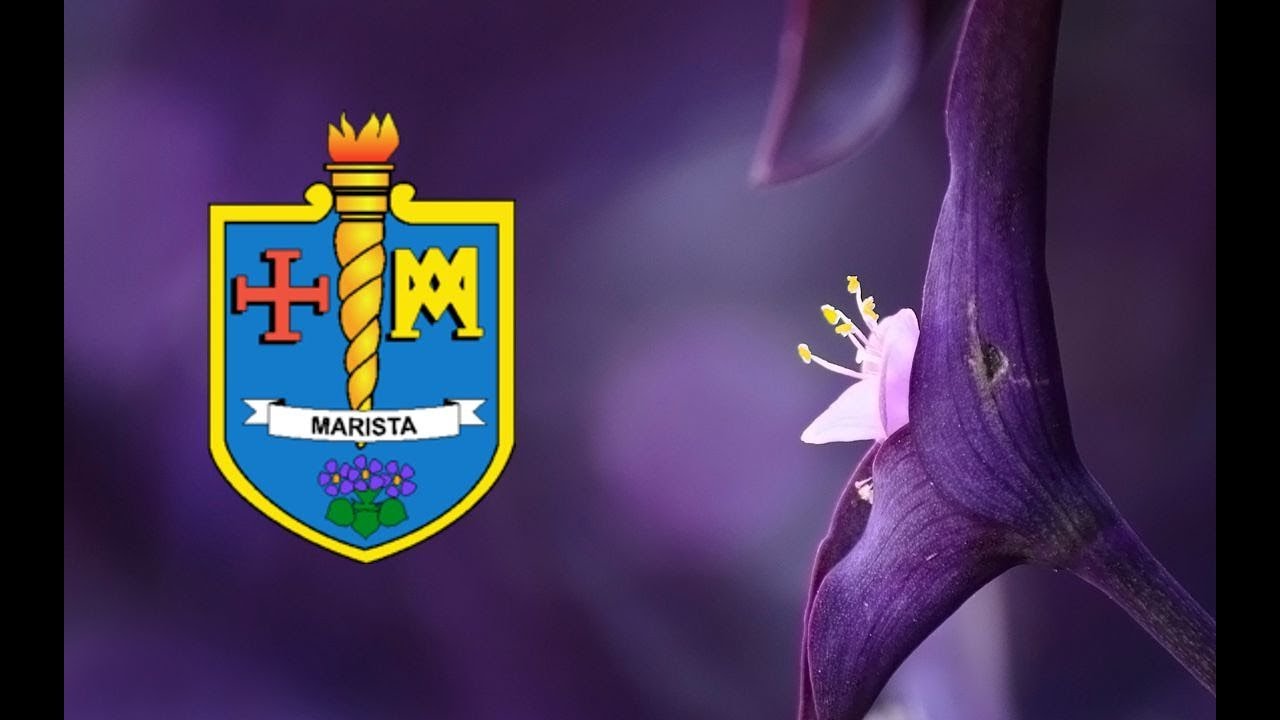 Himno Colegio Marista - Santa Cruz