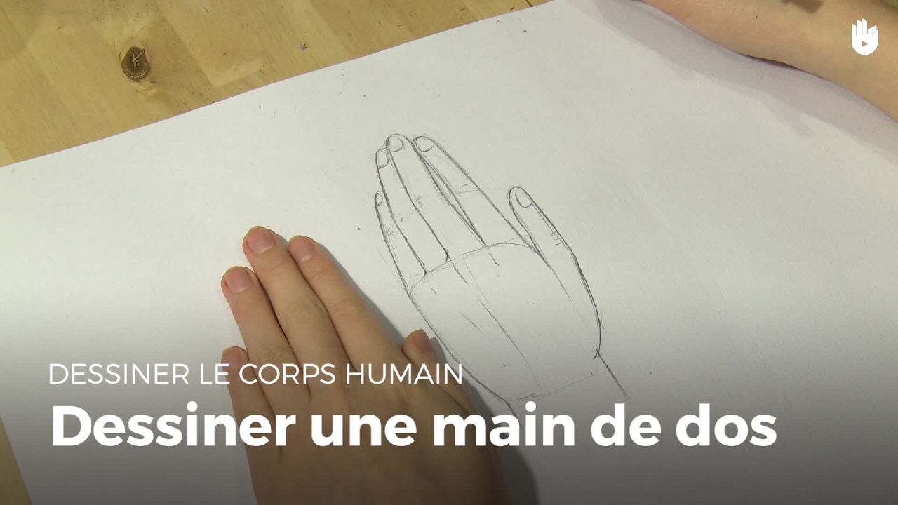 Dessiner le Dos De La Main - Apprendre à Dessiner | Sikana