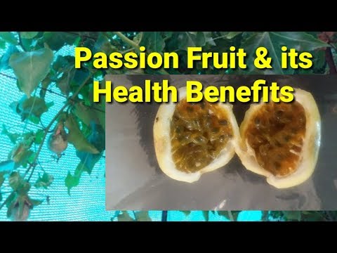 Passion Fruit and it's Health Benefits (Ep.20)