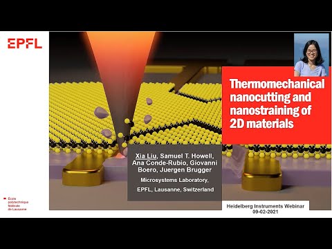Thermo-mechanical nanocutting and nanostraining of 2D materials