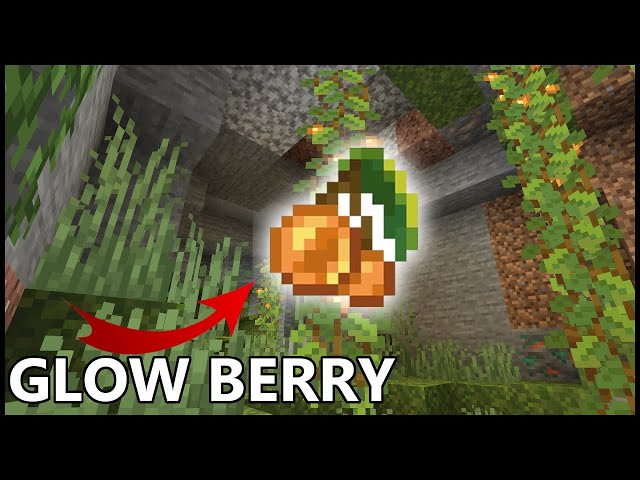 How to build a glow berry farm in Minecraft (2022)