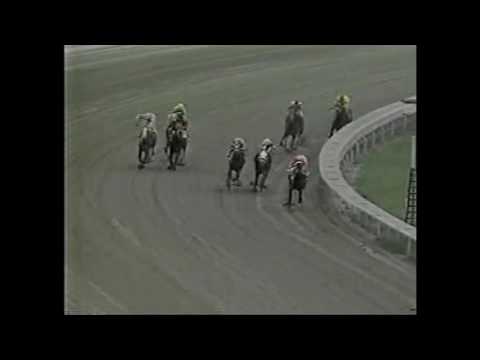 SUPER NELLY - Clásico Criadores De PR 1995