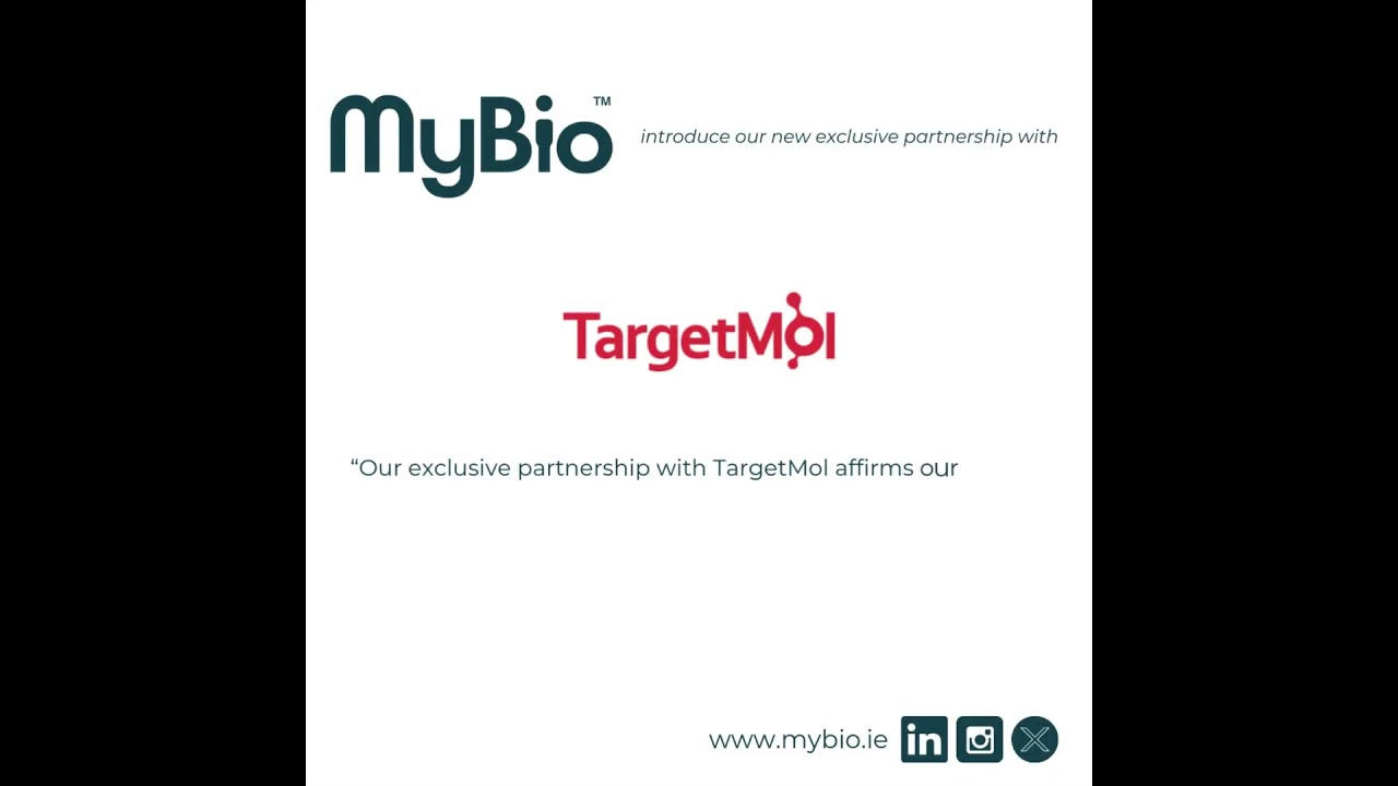 Launch TargetMol Nov 2024