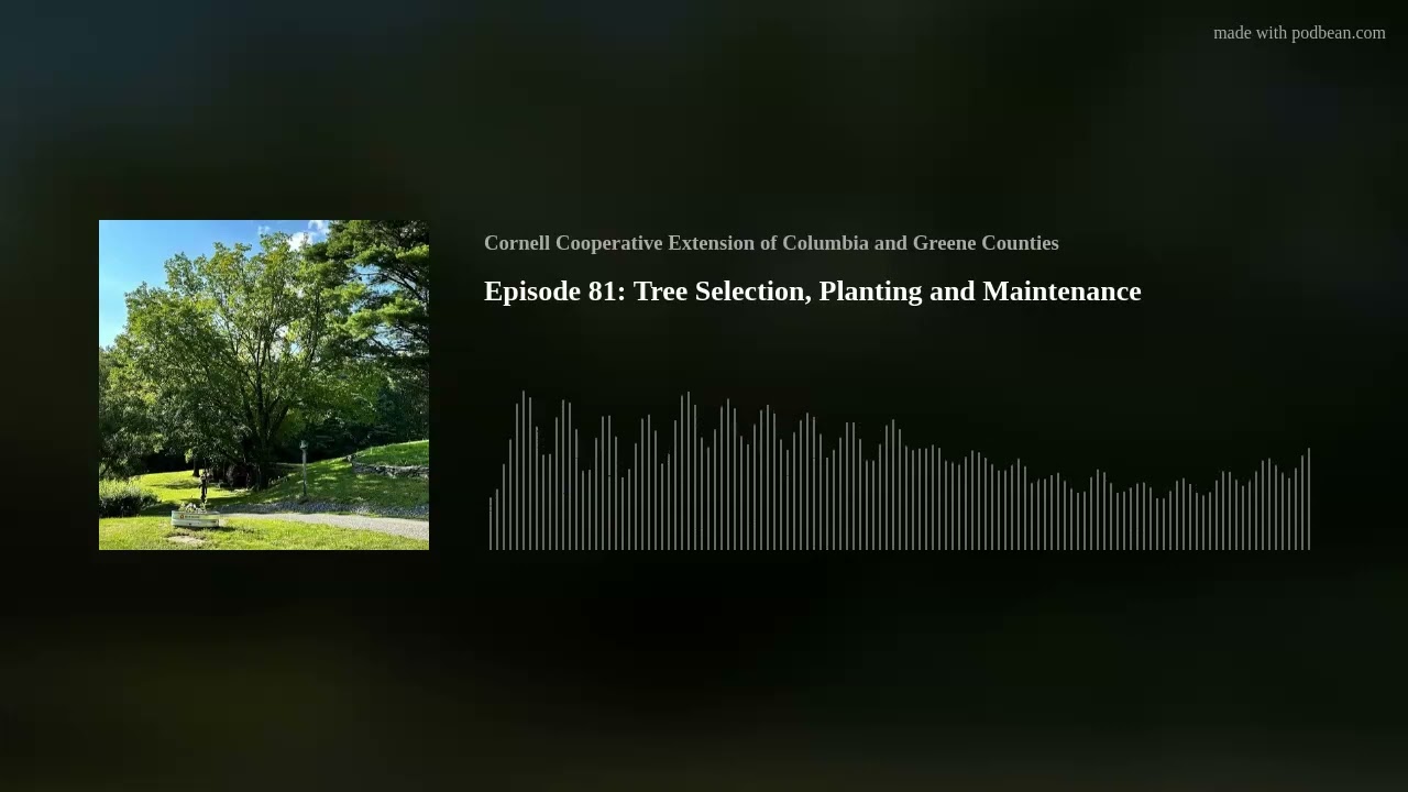 Episode 81:  Tree Selection, Planting and Maintenance