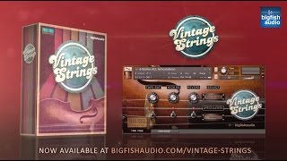 Big Fish Audio Vintage Strings - Best Deals & Reviews | Equipboard