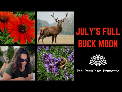 JULY'S FULL BUCK MOON SPIRITUAL MEANING FOR PAGANS AND WITCHES