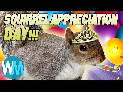 Top 10 WEIRDEST American Holidays