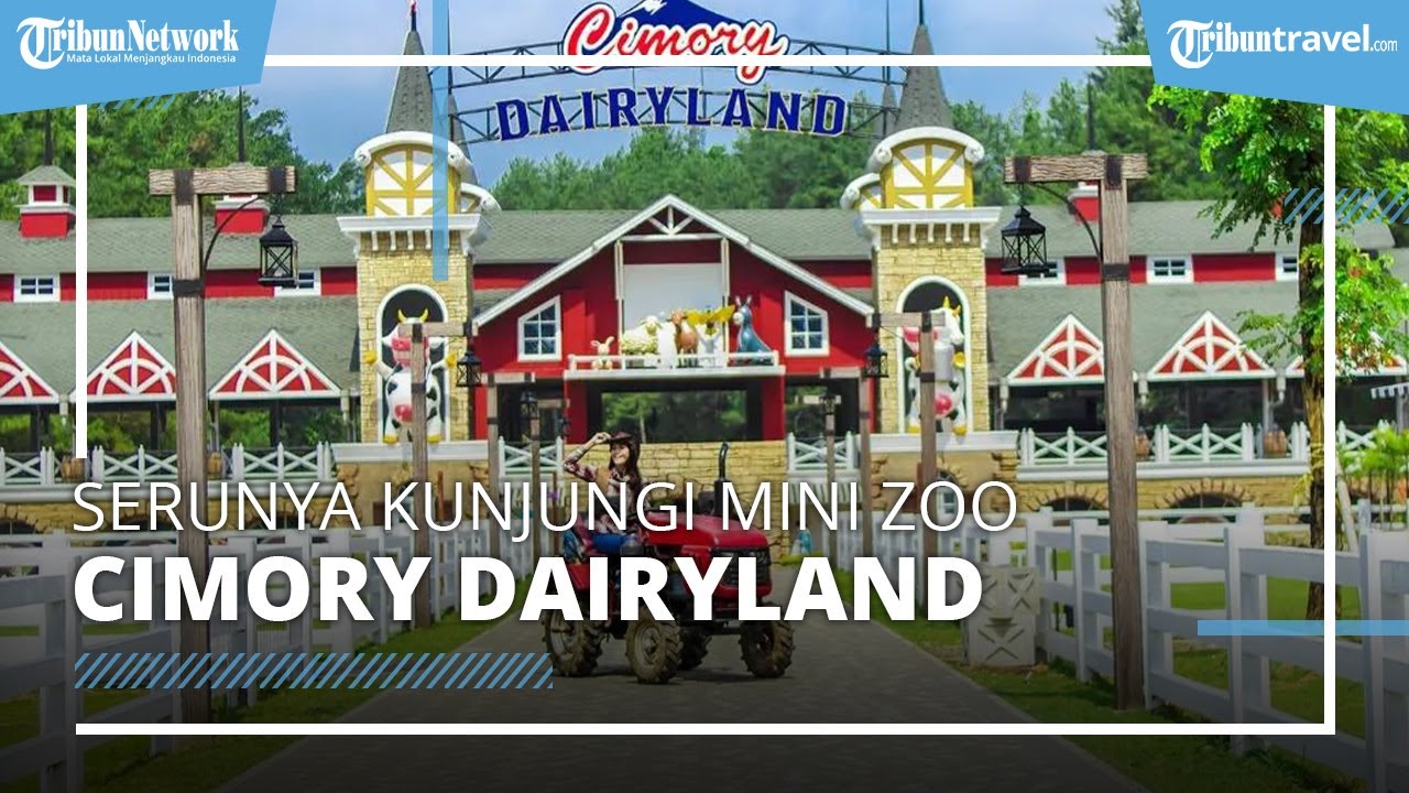 Kunjungi Mini Zoo Cimory Dairyland Puncak, Pakai Tiket Funpass Harga ...