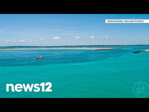 Beachgoers astounded by turquoise water off LI’s South Shore | News 12