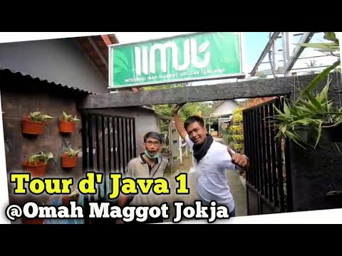 #4. Temu kangen, liputan TVRI, dan diskusi BUMDES di OMJ