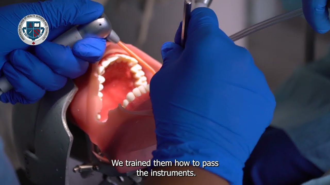 What To Expect In The Dental Assistant Program