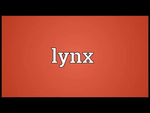 lynx meaning in English