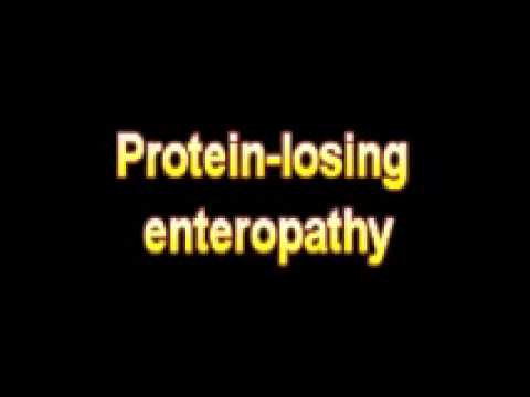 What Is The Definition Of Protein losing enteropathy Medical School Terminology Dictionary
