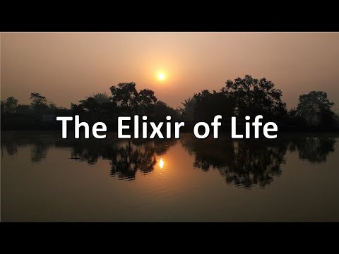 The elixir of life by C V Raman - Part 1, A Visual Presentation, NCERT 10th Class English