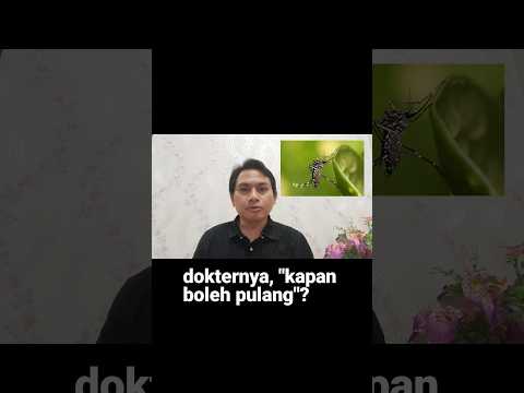 Kriteria pulang dari rawat inap pada pasien DBD #edukasi #dbd #trombosit