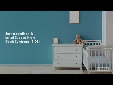 BCM SIDS: Assessing Sudden Infant Death Syndrome Risk in Mouse Models
