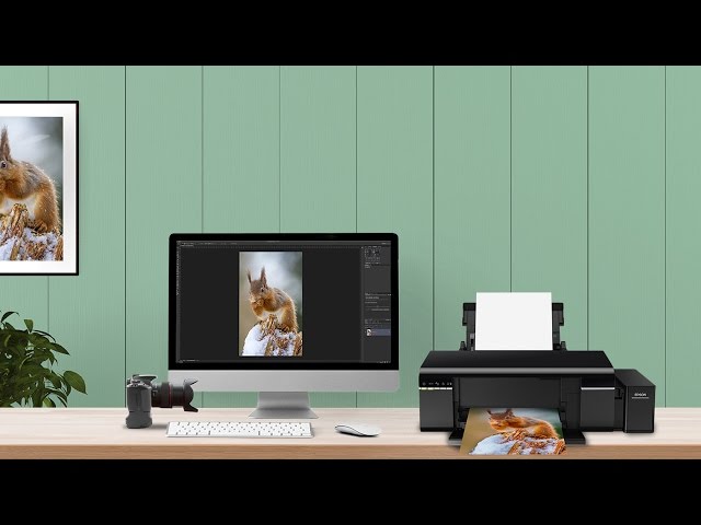 Epson Sublimation Printer & Lamination Machine - EPSON L805 Sublimation ...