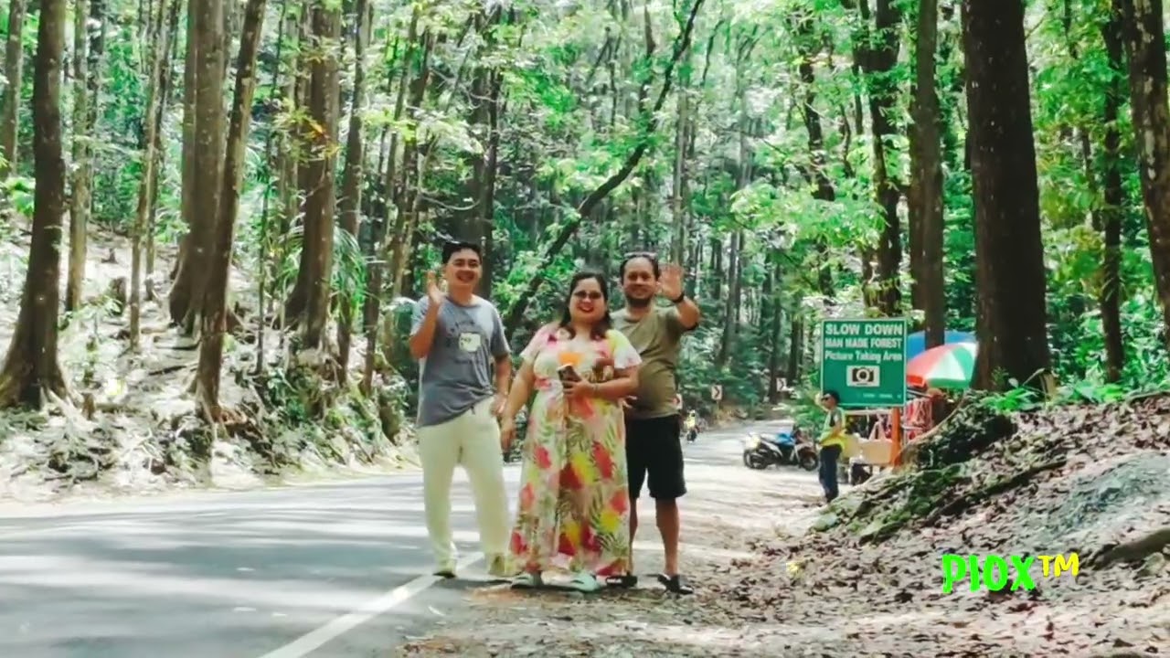 Bilar Manmade Forest Bohol 2026
