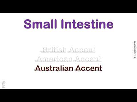 Small Intestine How to Pronounce Small Intestine in Australian, British, American Accent ?