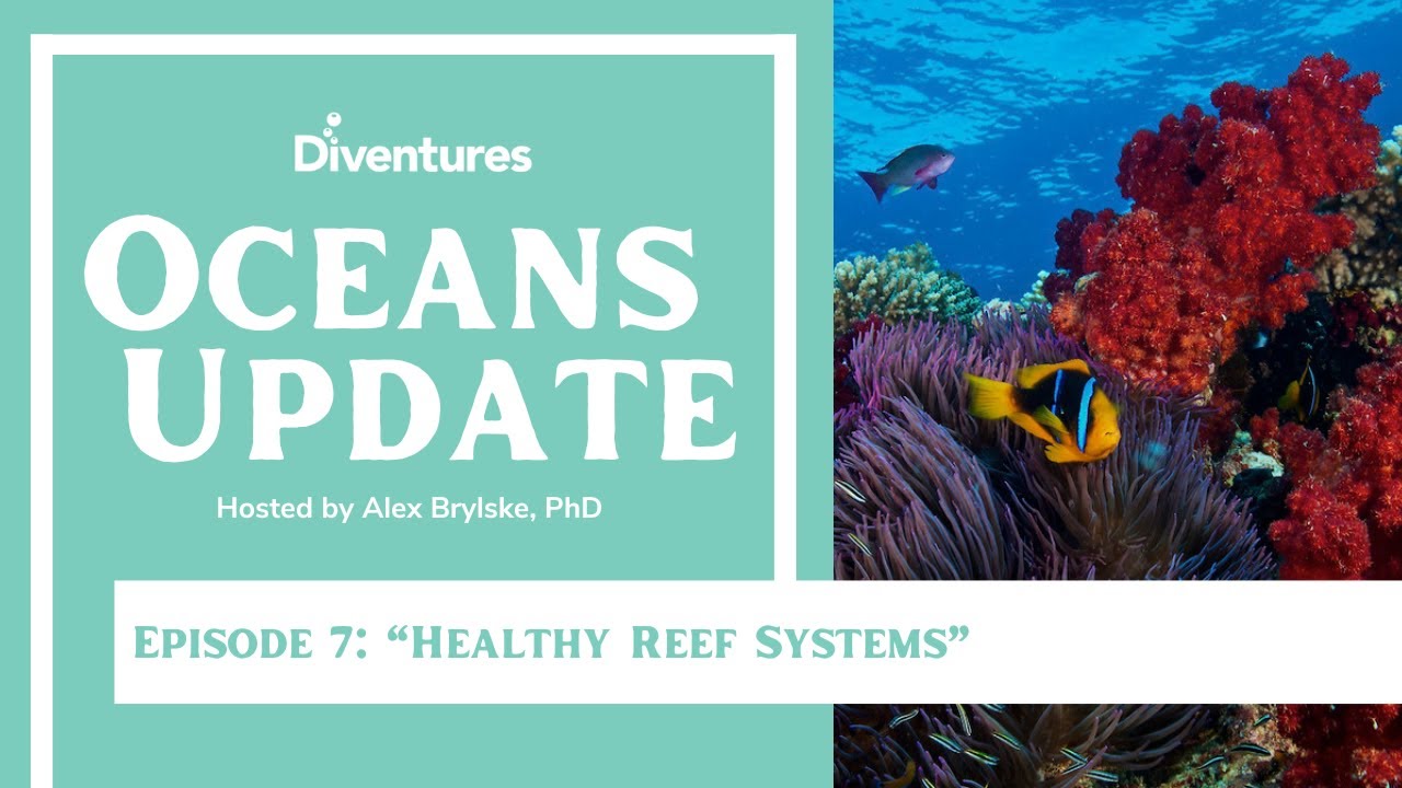 Oceans Update Episode 7
