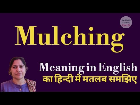 mulching meaning l meaning of mulching l mulching ka matlab Hindi mein kya hota hai l vocabulary