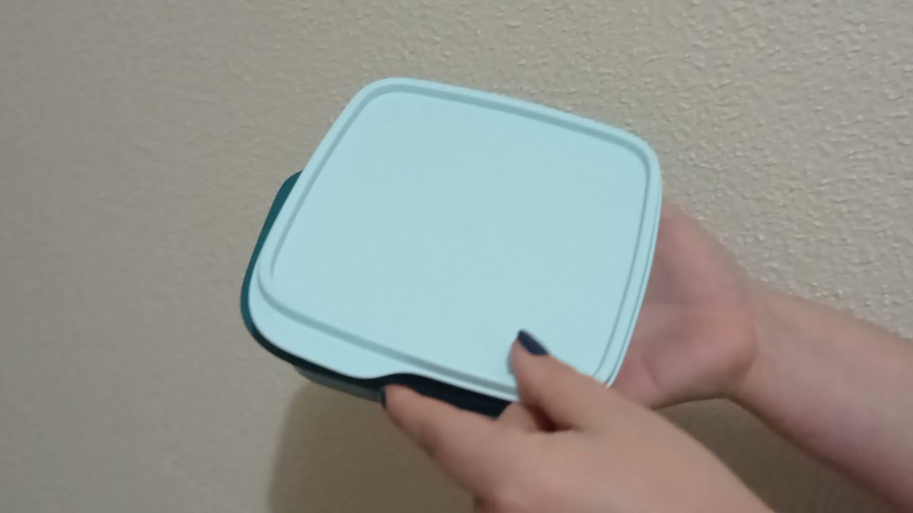 Tupperware Basic Line com divisórias 550 ml / Marmita