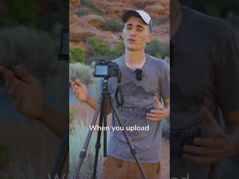 This is why your photos look better on your camera screen...