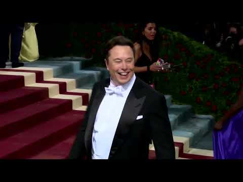 Musk's 'Burnt Hair' brings in $1 million