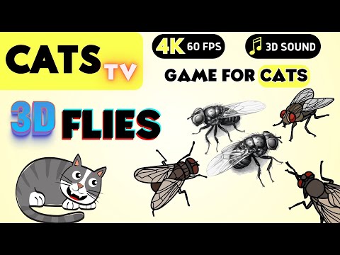 CAT TV - 3D Crazy Flies 🙀🪰 Best game for CATS 😻📺 [4K]