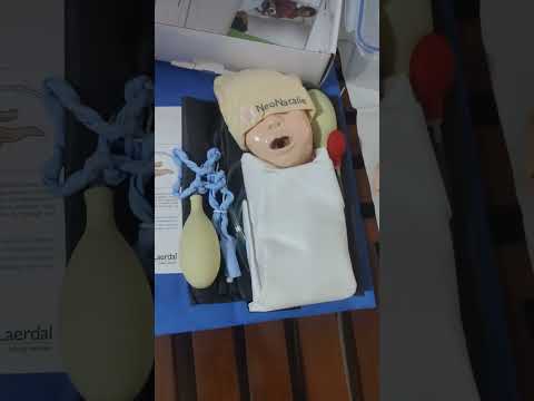 Anatomical Models and medical models Wholesale Trader | Full Point, Pune