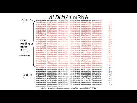 Genetic Code and components of translation