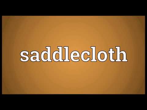 Saddlecloth Meaning