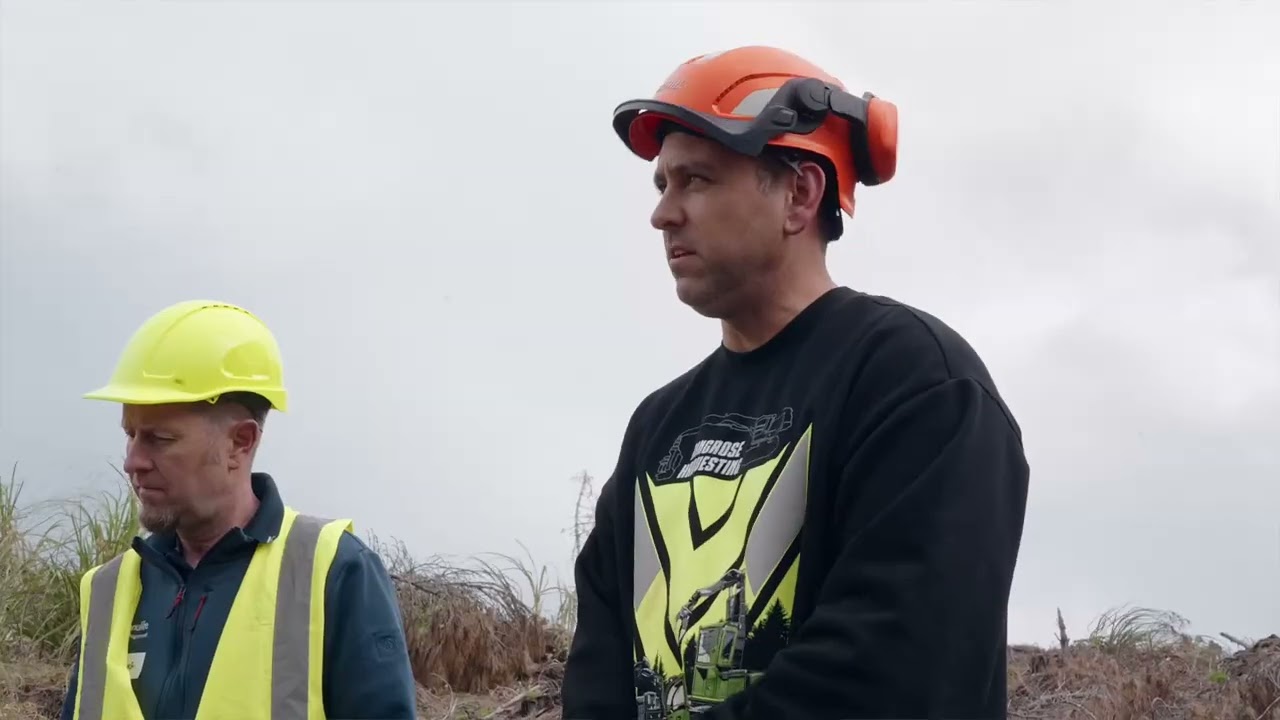 FSC® Forest Walk | Aotearoa, New Zealand