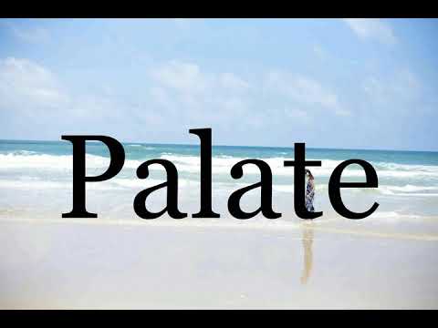 How To Pronounce Palate🌈🌈🌈🌈🌈🌈Pronunciation Of Palate