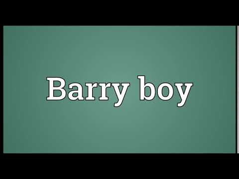 Barry boy Meaning | Wordogram