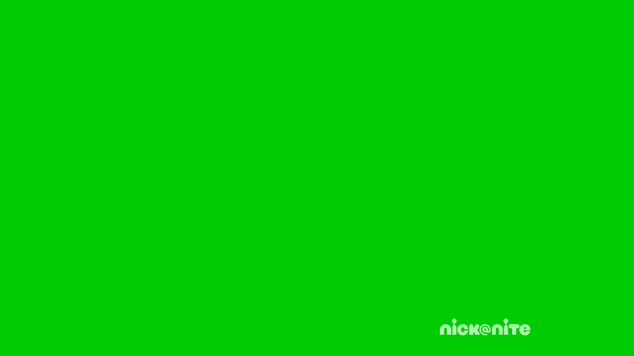 Nick at Nite Screen bug 2016-present(1)